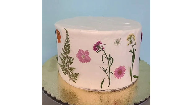 Custom Cakes – European Cake Gallery