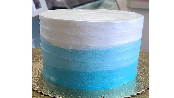 Custom Cakes – European Cake Gallery